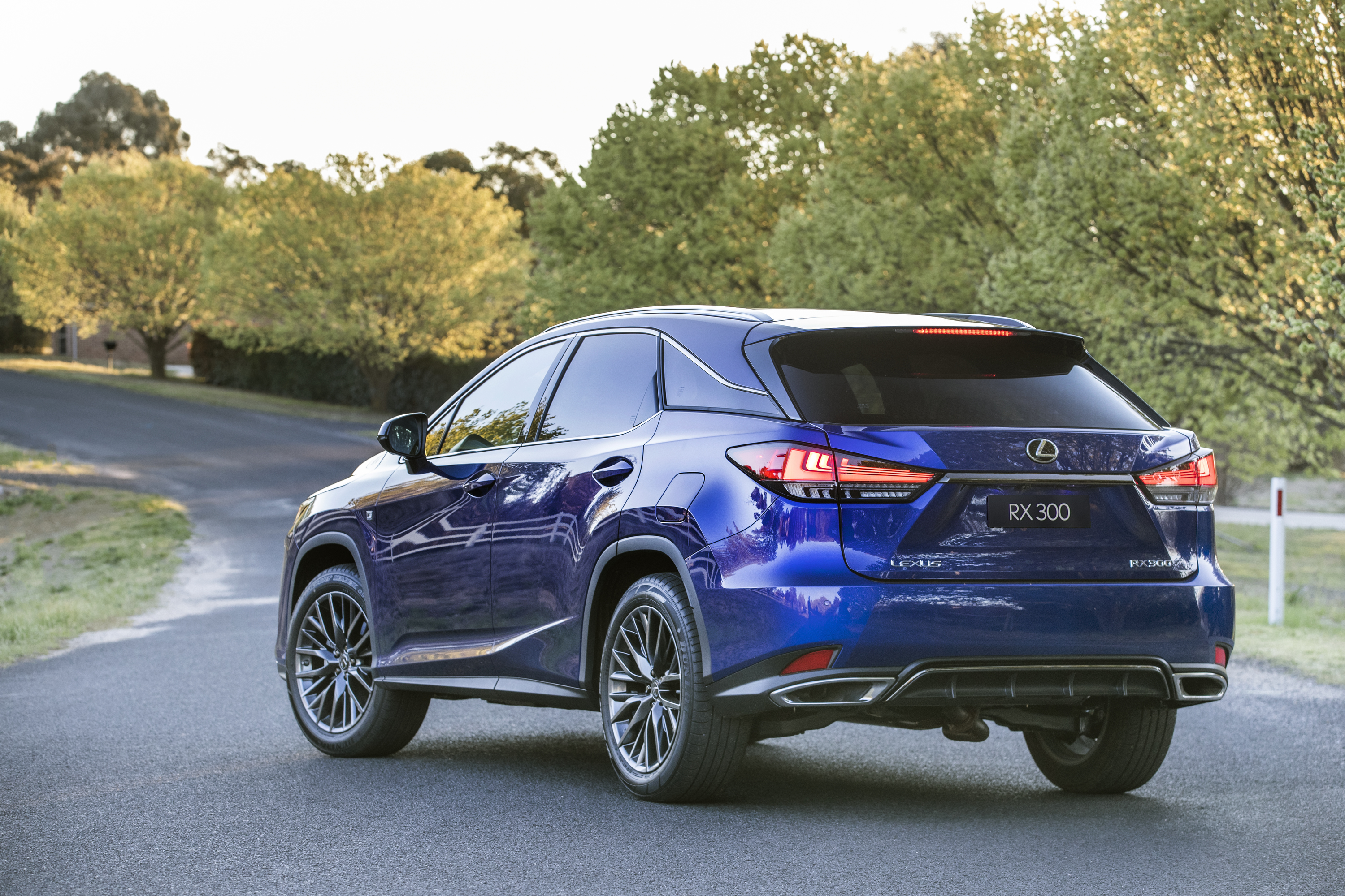 2020 Lexus RX pricing and specs | CarExpert