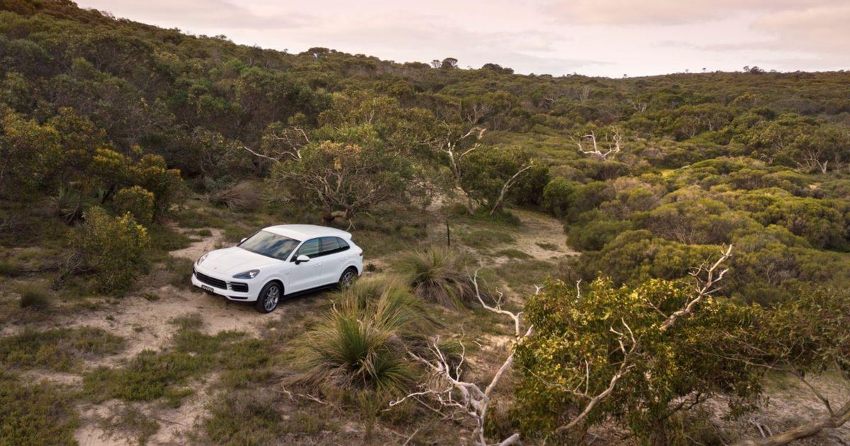 Porsche Australia offering carbon offset for new-car buyers | CarExpert