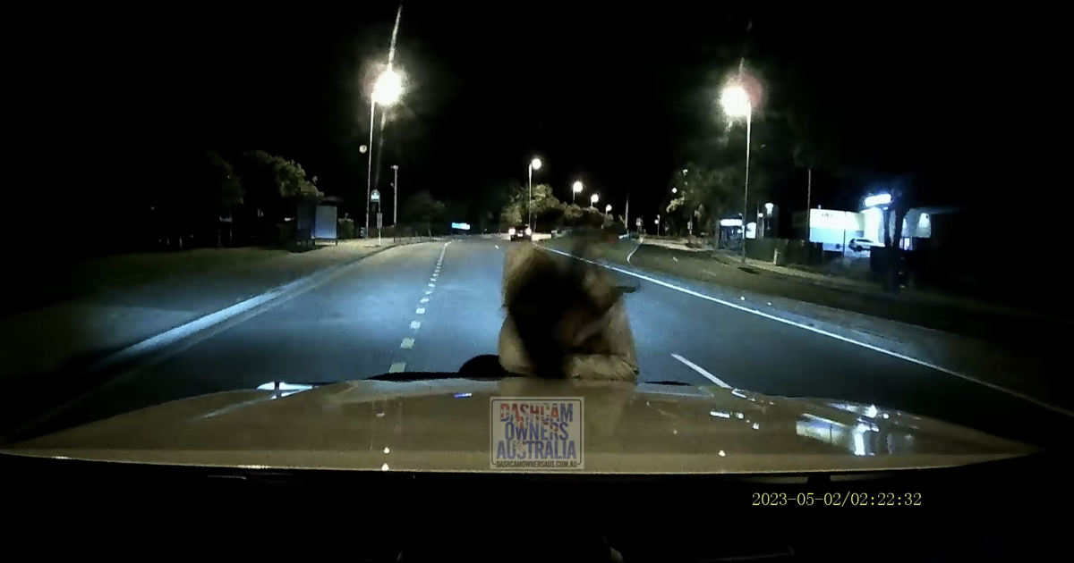 Camera catches 3AM hit and run insurance fraud that goes wrong for ...