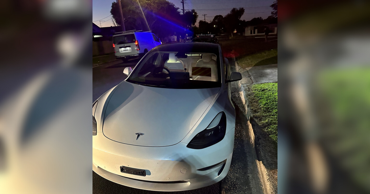Tesla driver cops huge penalties for treating suburban street like a ...