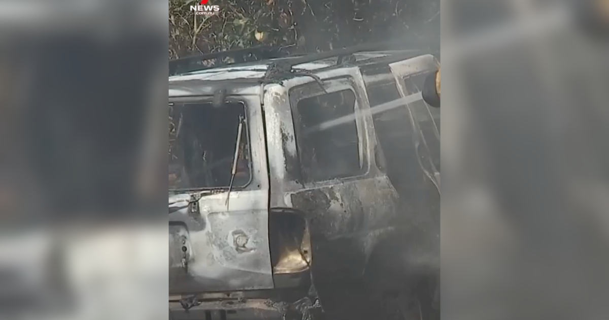 Nissan Pathfinder burns to the ground after drastic spider removal ...