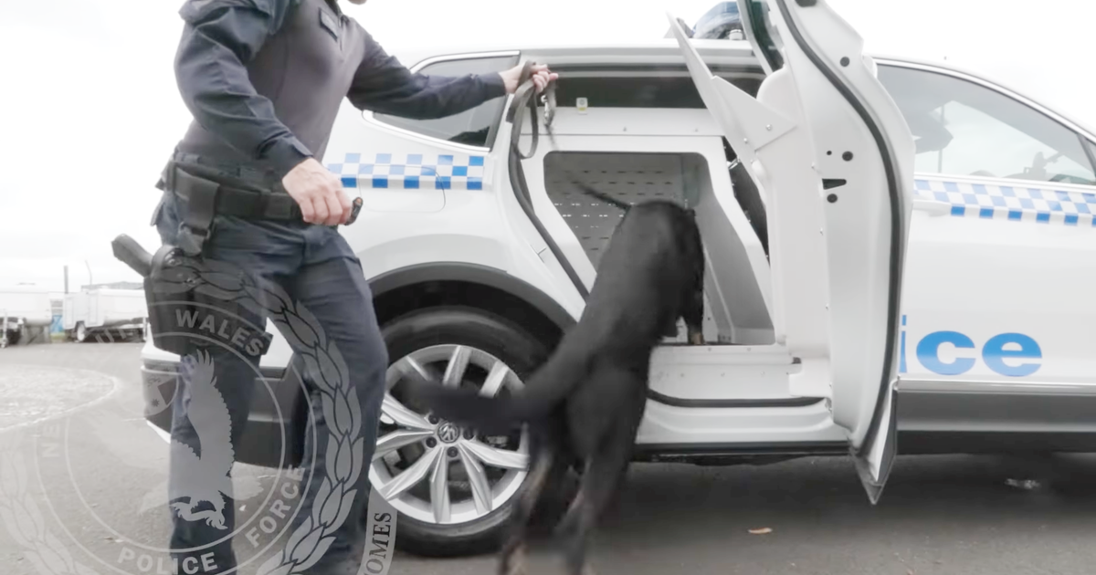 NSW Police dog squad getting cooler rides | CarExpert