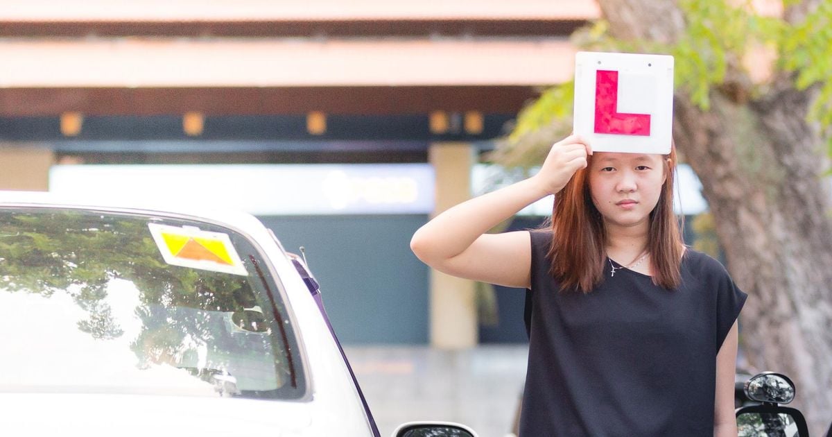 Where can I put my L plates or P plates? | CarExpert