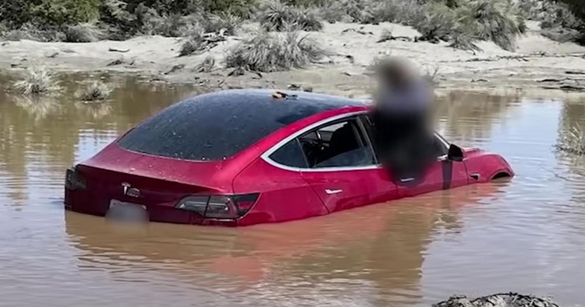 Tesla Model 3 fully self dives into floodwaters | CarExpert