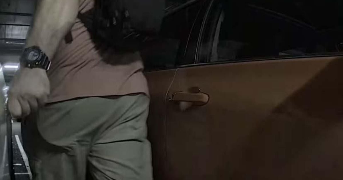 Tesla camera catches alleged serial keying vandal | CarExpert