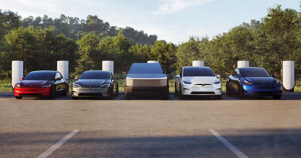 Tesla is "the next Enron", says Facebook co-founder | CarExpert