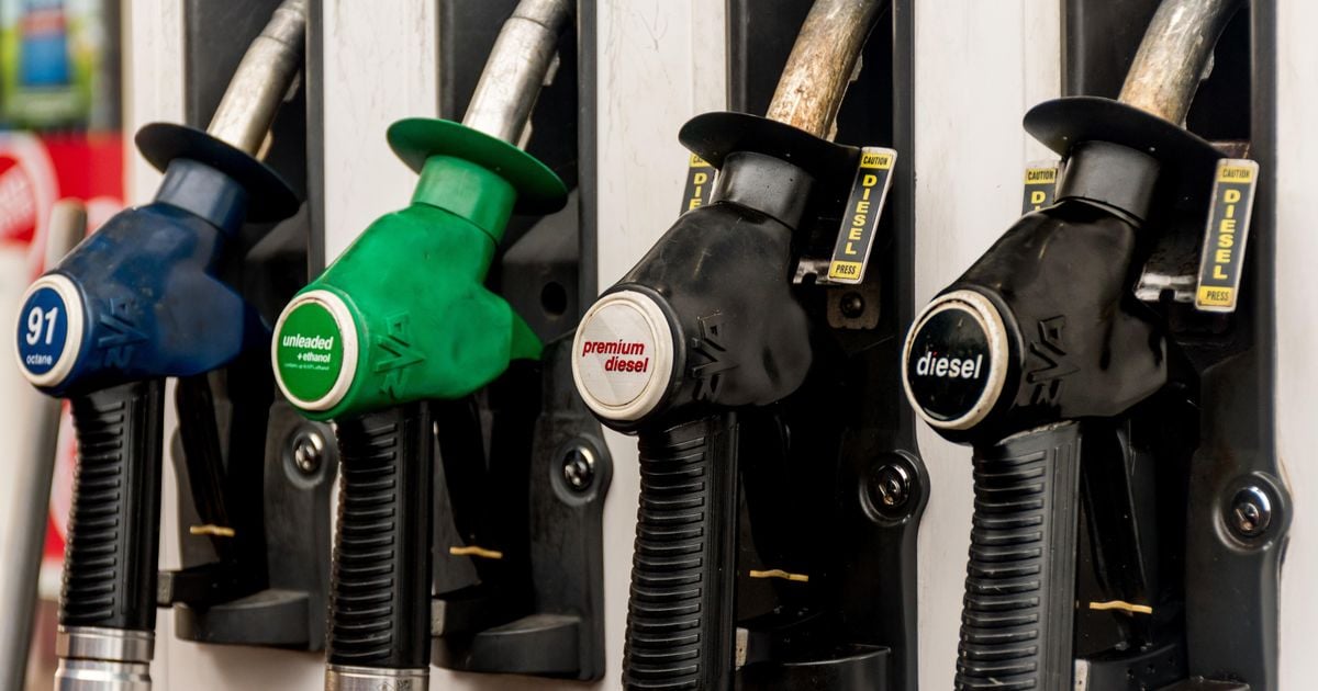 Petrol and diesel prices to rise following another fuel excise increase ...