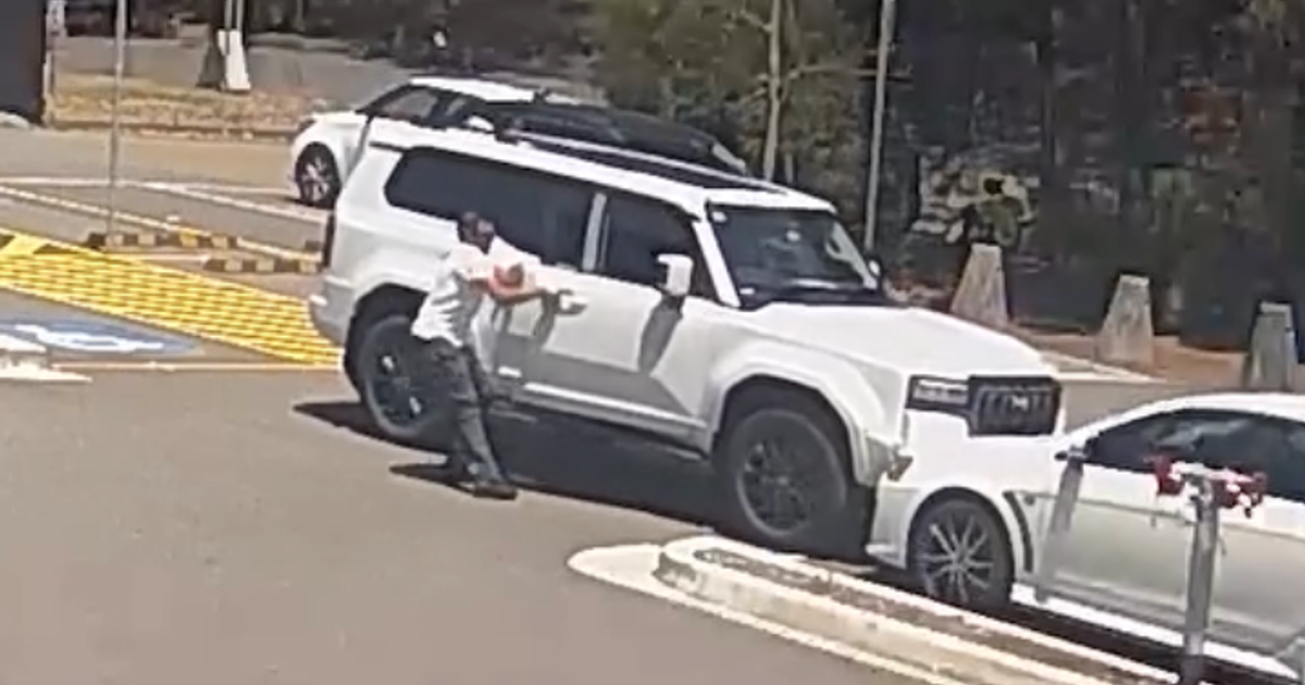 Watch: Toyota Prado owner's embarrassing crash chasing cricketer for an ...