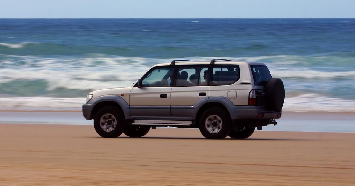 4x4s causing 'widespread damage' to Australian beaches – study | CarExpert