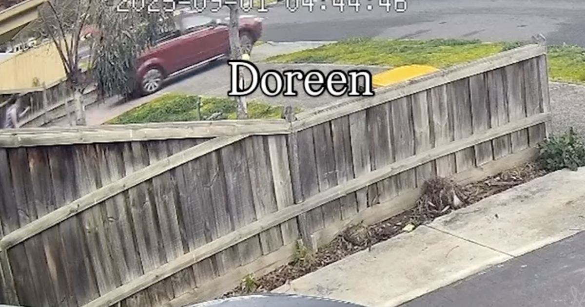 Watch the terrifying moment thieves in Victoria stole a car with ...