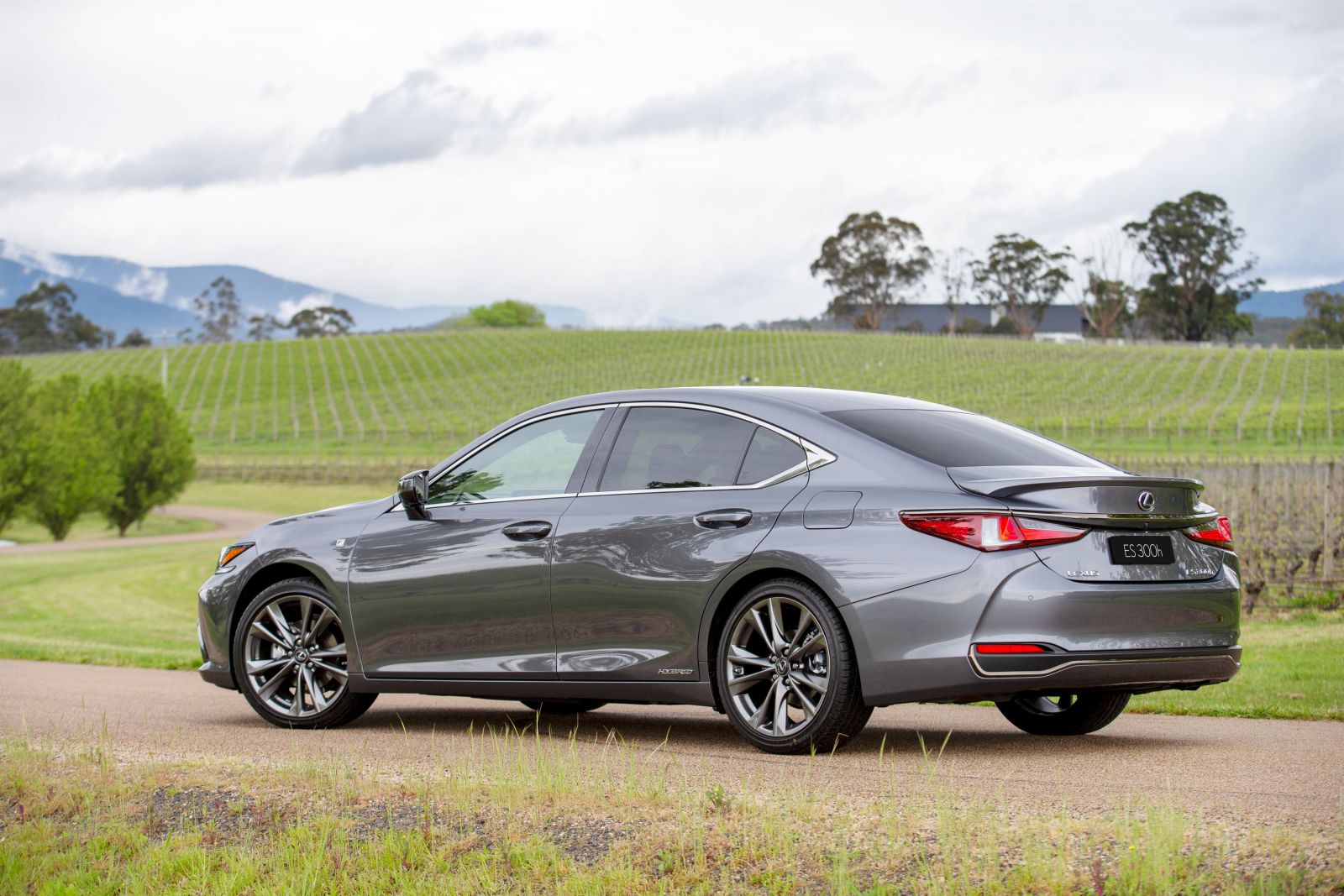 2020 Lexus ES price and specs | CarExpert