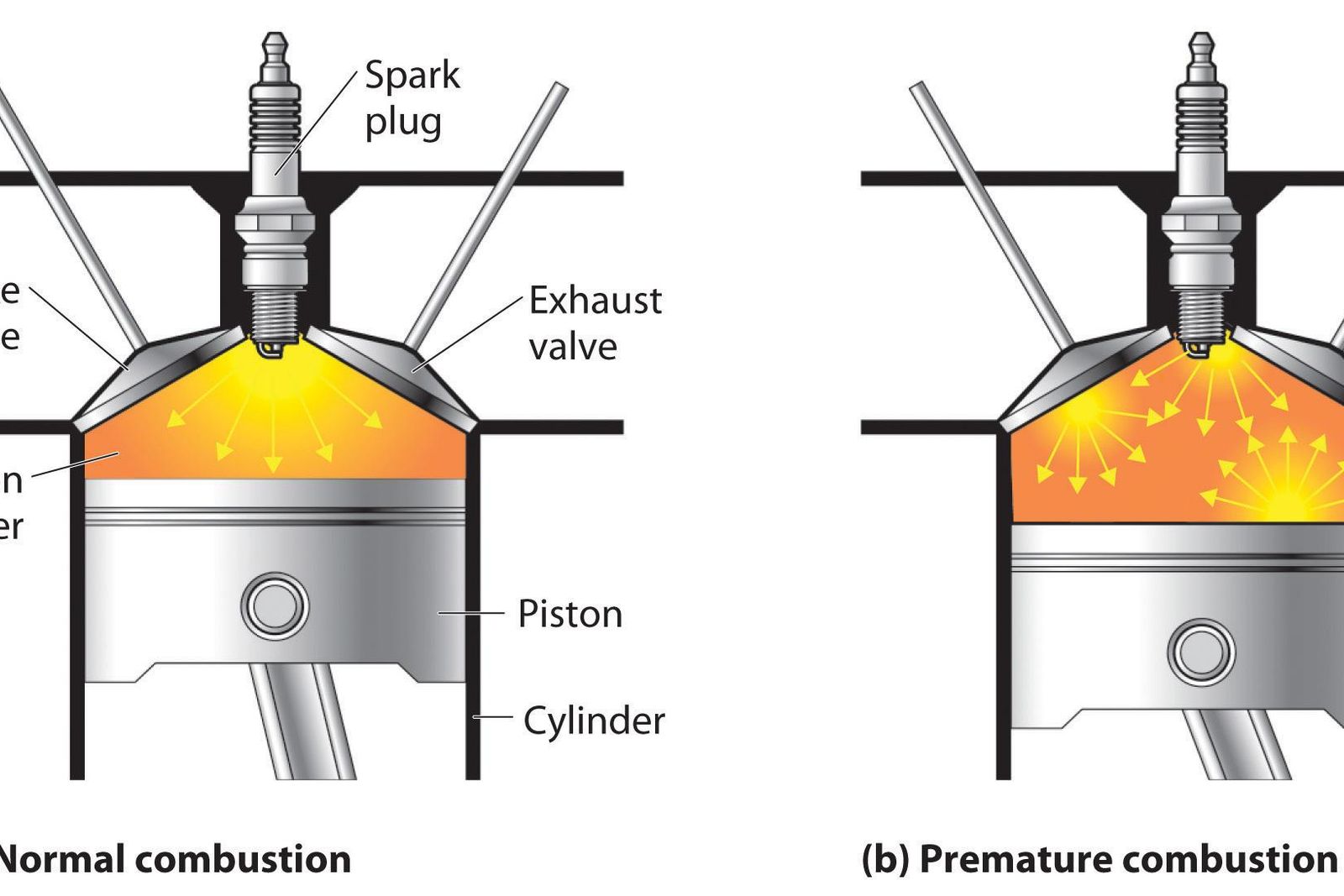 Fuel Ratings Explained 91 95 98 RON And E10 CarExpert Fuel Ratings Explained 91 95 98 RON And E10 CarExpert
