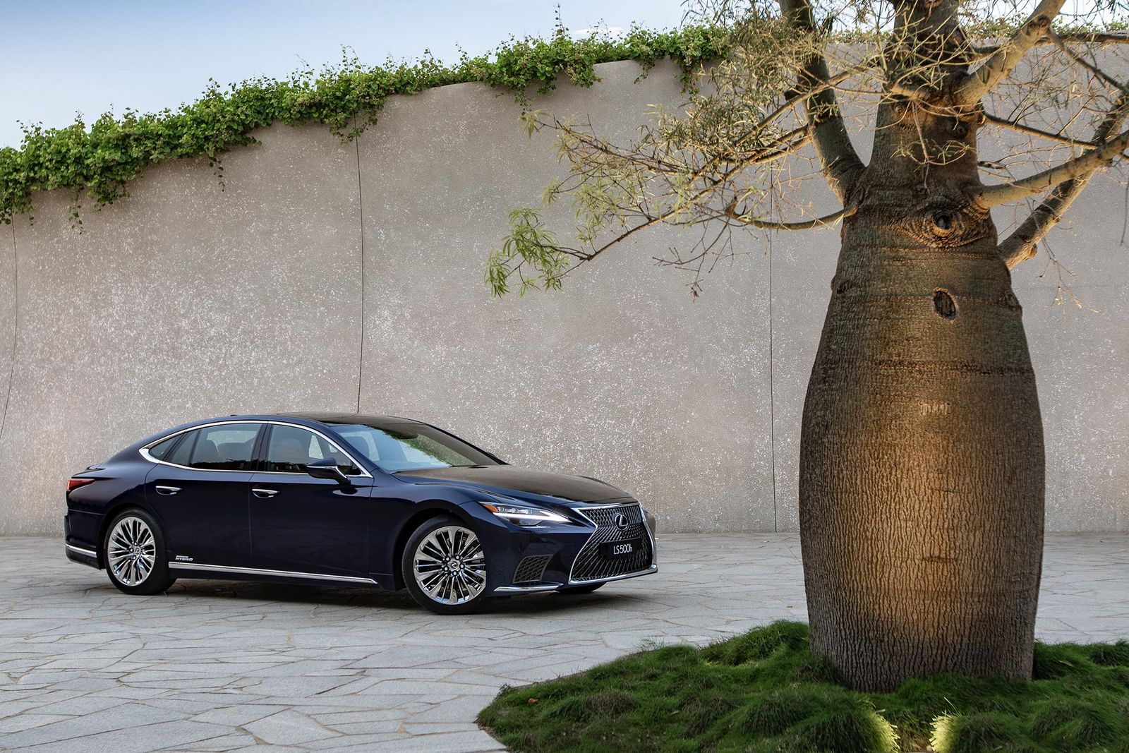 2021 Lexus LS review | CarExpert