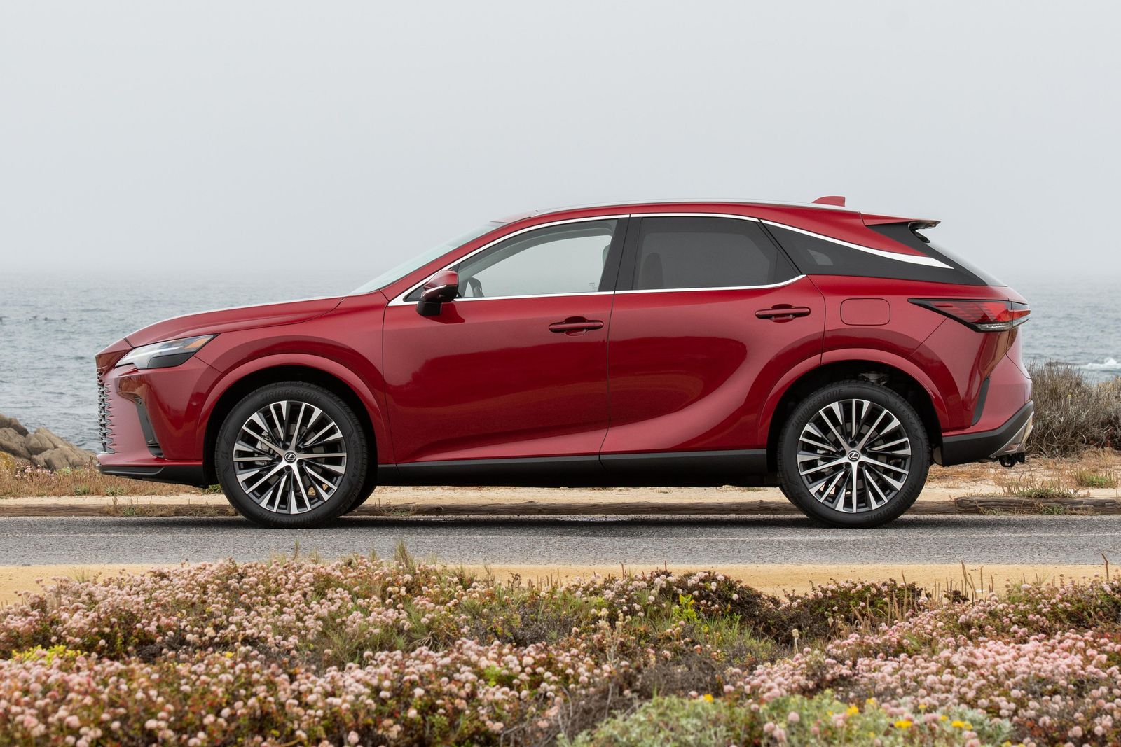 2023 Lexus RX: Australian line-up detailed | CarExpert