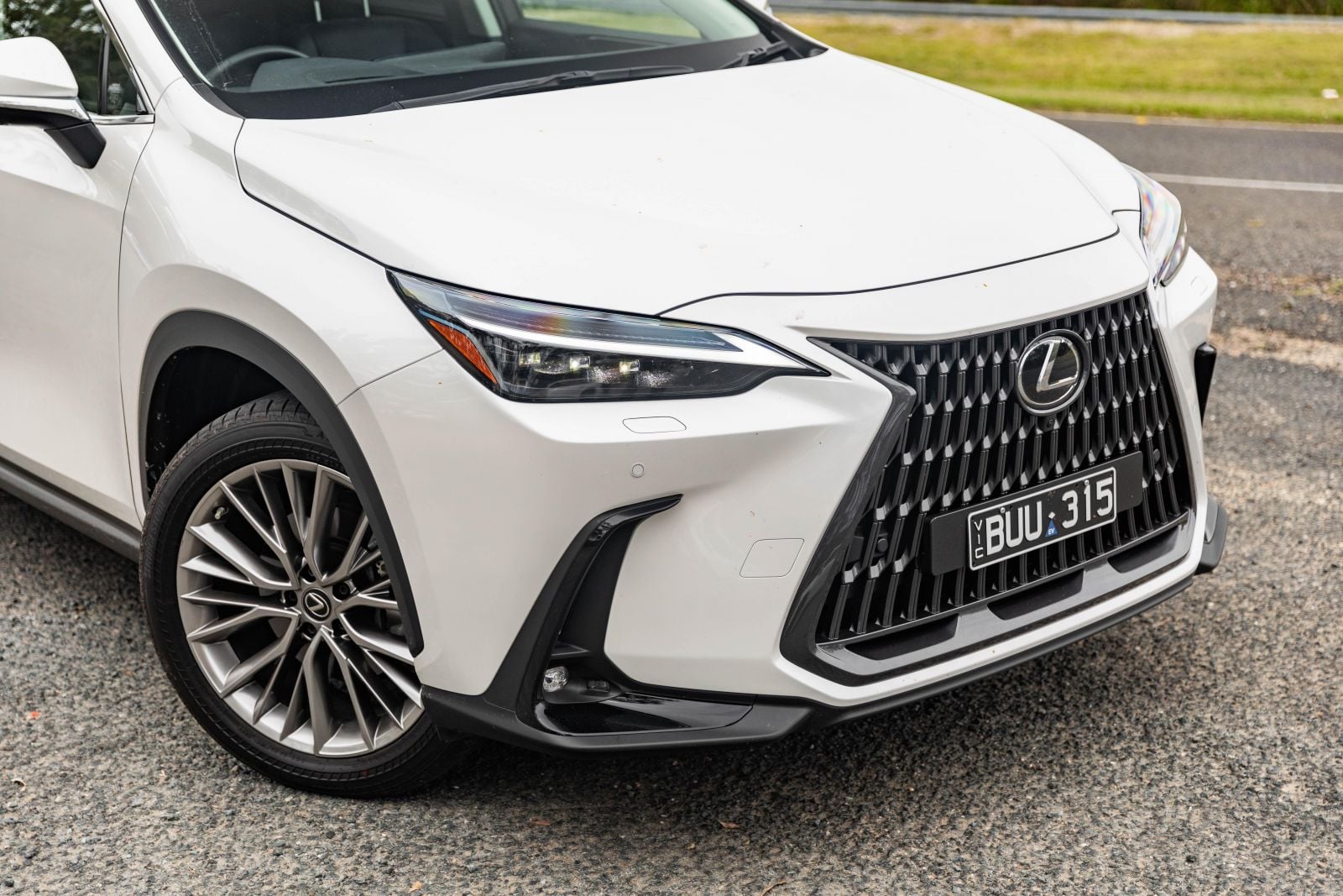 2024 Tesla Model Y Performance vs Lexus NX 350h Sports Luxury ...