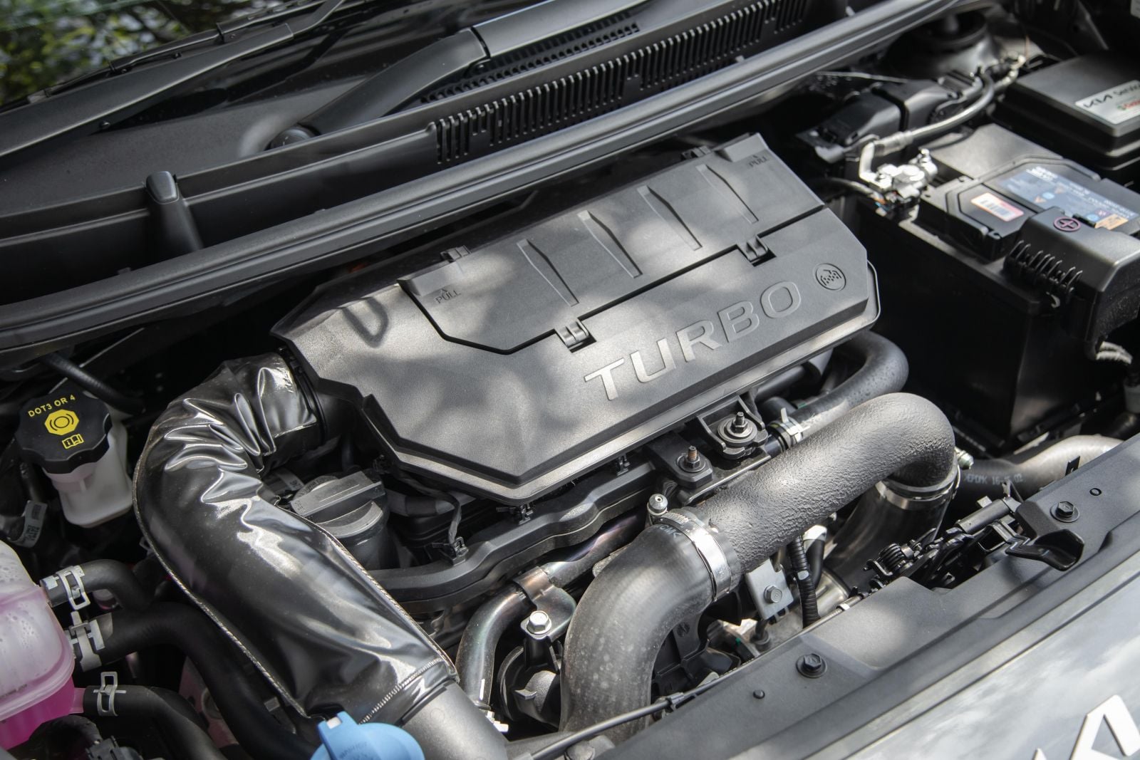 2023 Kia Picanto review | CarExpert