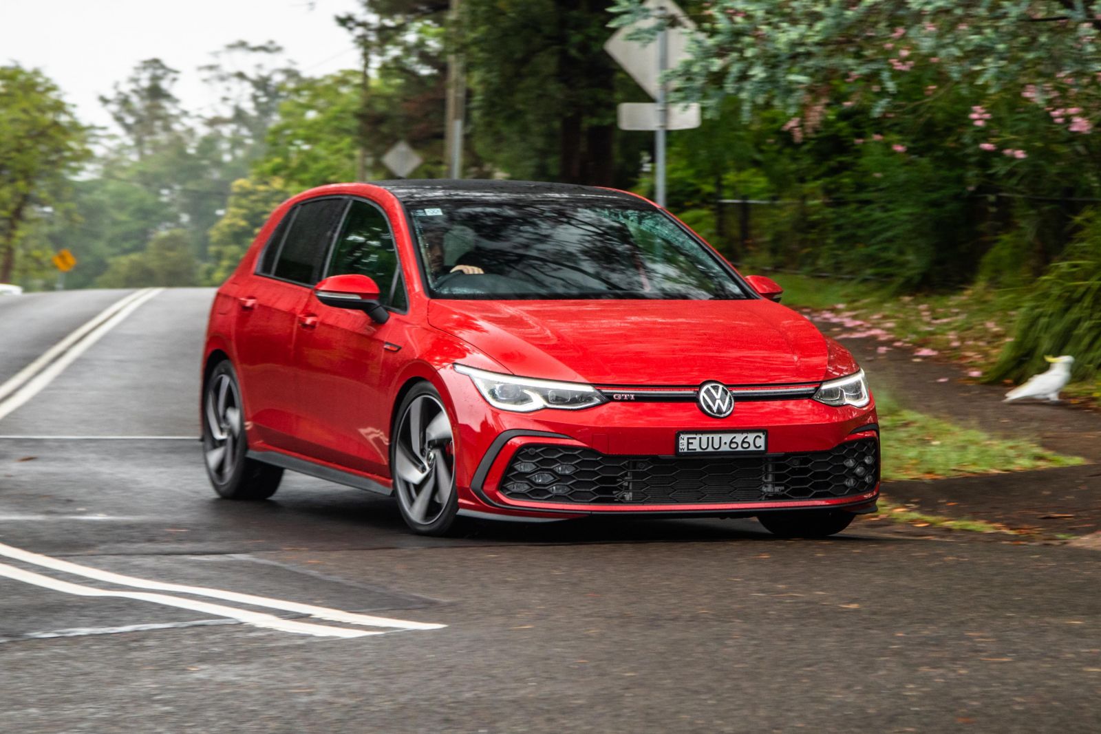 What to do if you’re accused of hooning | CarExpert