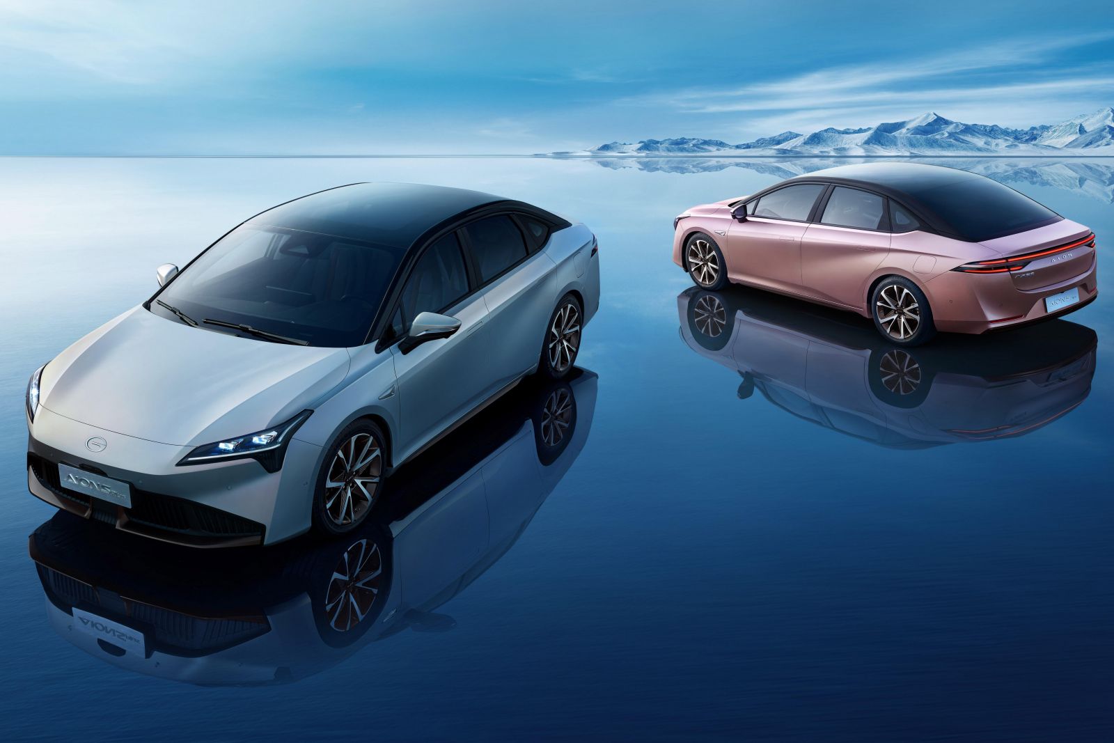 Which Chinese brands will survive the next wave? | CarExpert