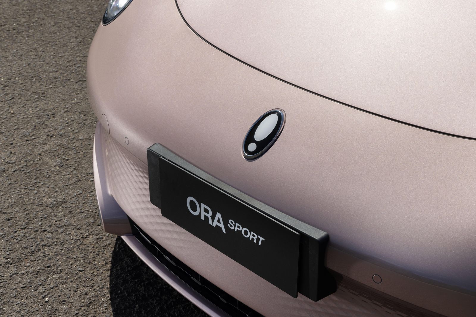 2023 GWM Ora Sport review | CarExpert