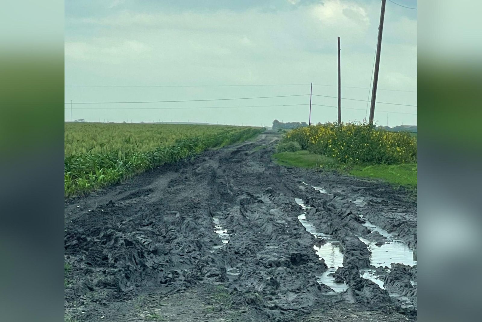 Cybertruck bogged in puddle? Ford, Jeep come to the rescue | CarExpert