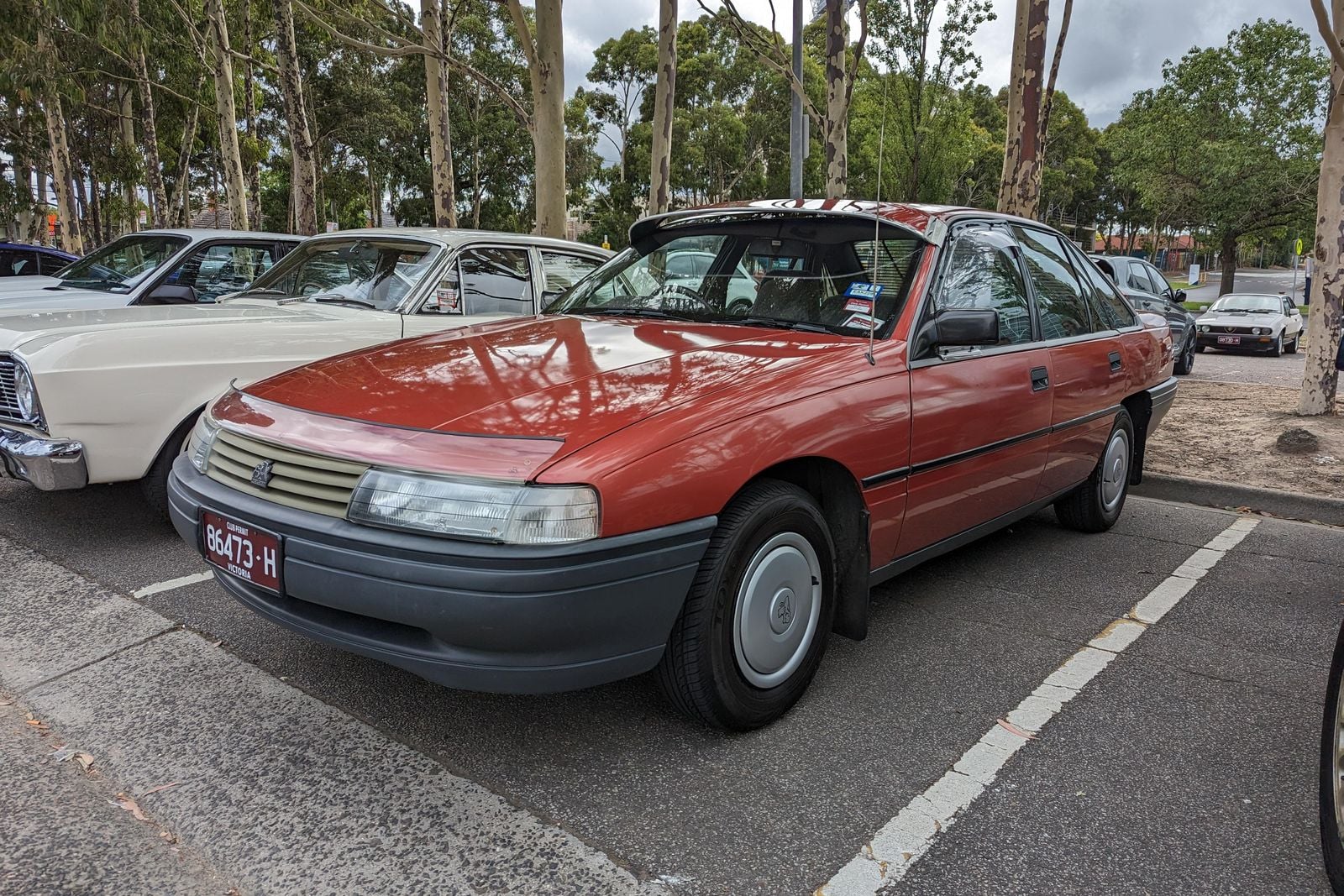 GM working on fix for Holden Commodore parts shortage | CarExpert
