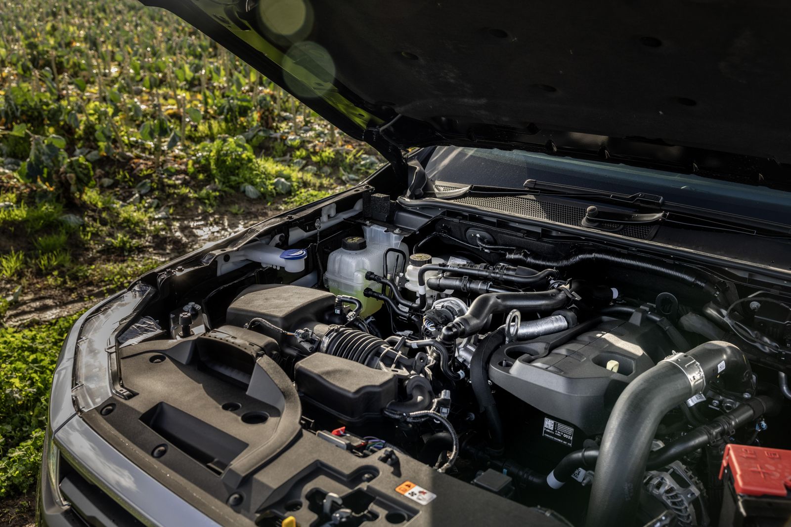 2023 Volkswagen Amarok Core TDI405 review | CarExpert