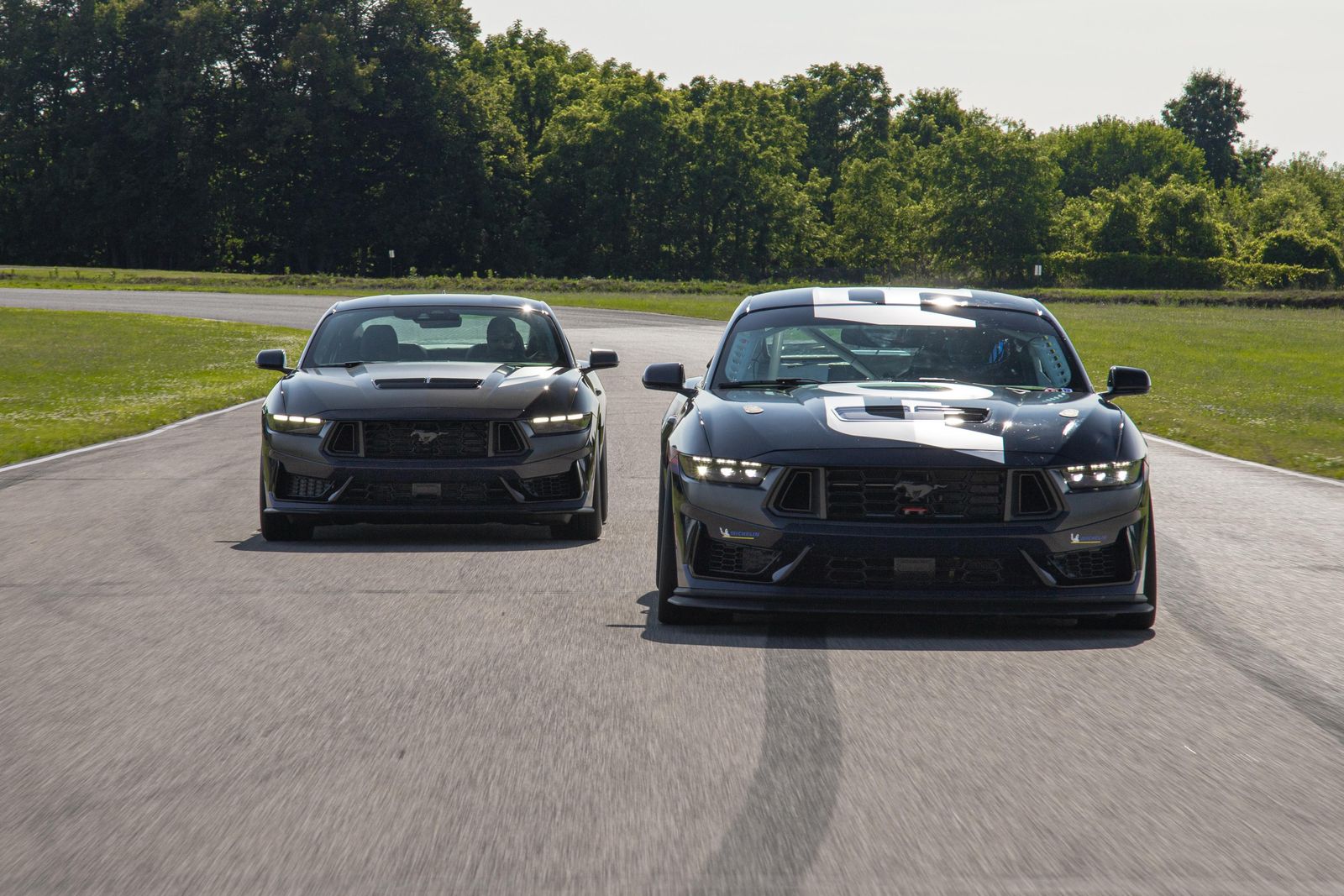Ford Mustang Dark Horse R saddling up for one-make race series | CarExpert