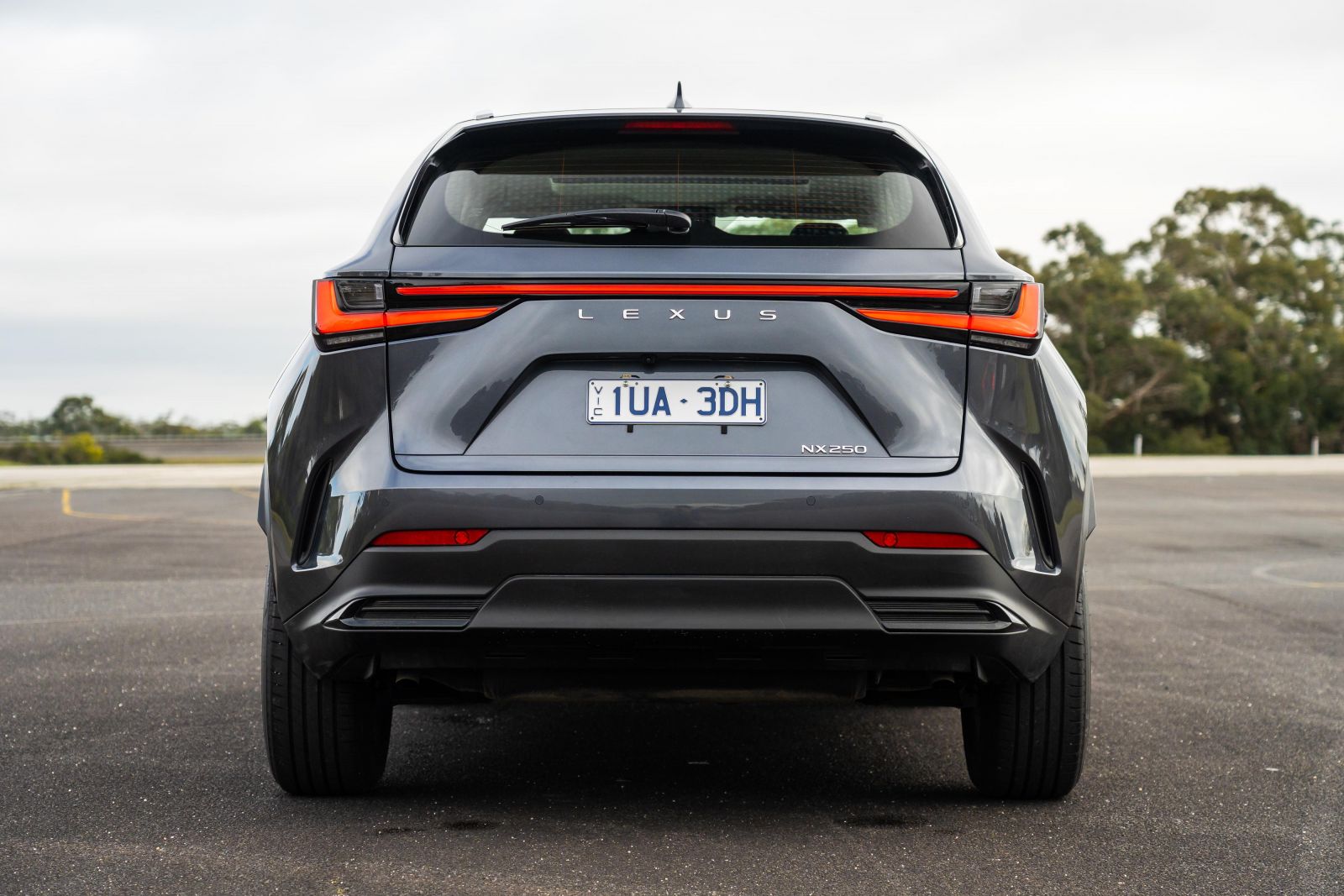 2024 Lexus NX review | CarExpert