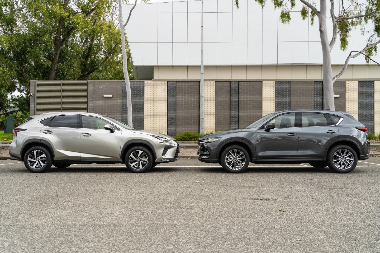 2021 Lexus NX v Mazda CX-5 comparison | CarExpert