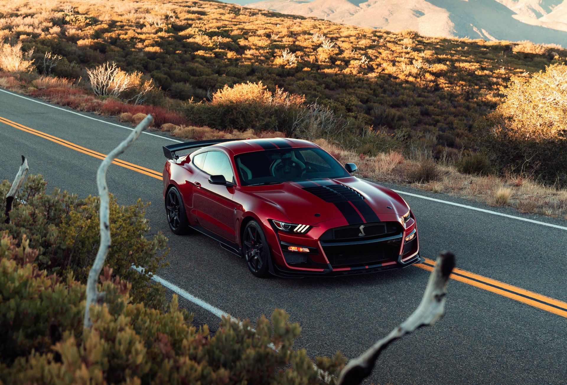 Shelby nods to tuned Ford Bronco | CarExpert