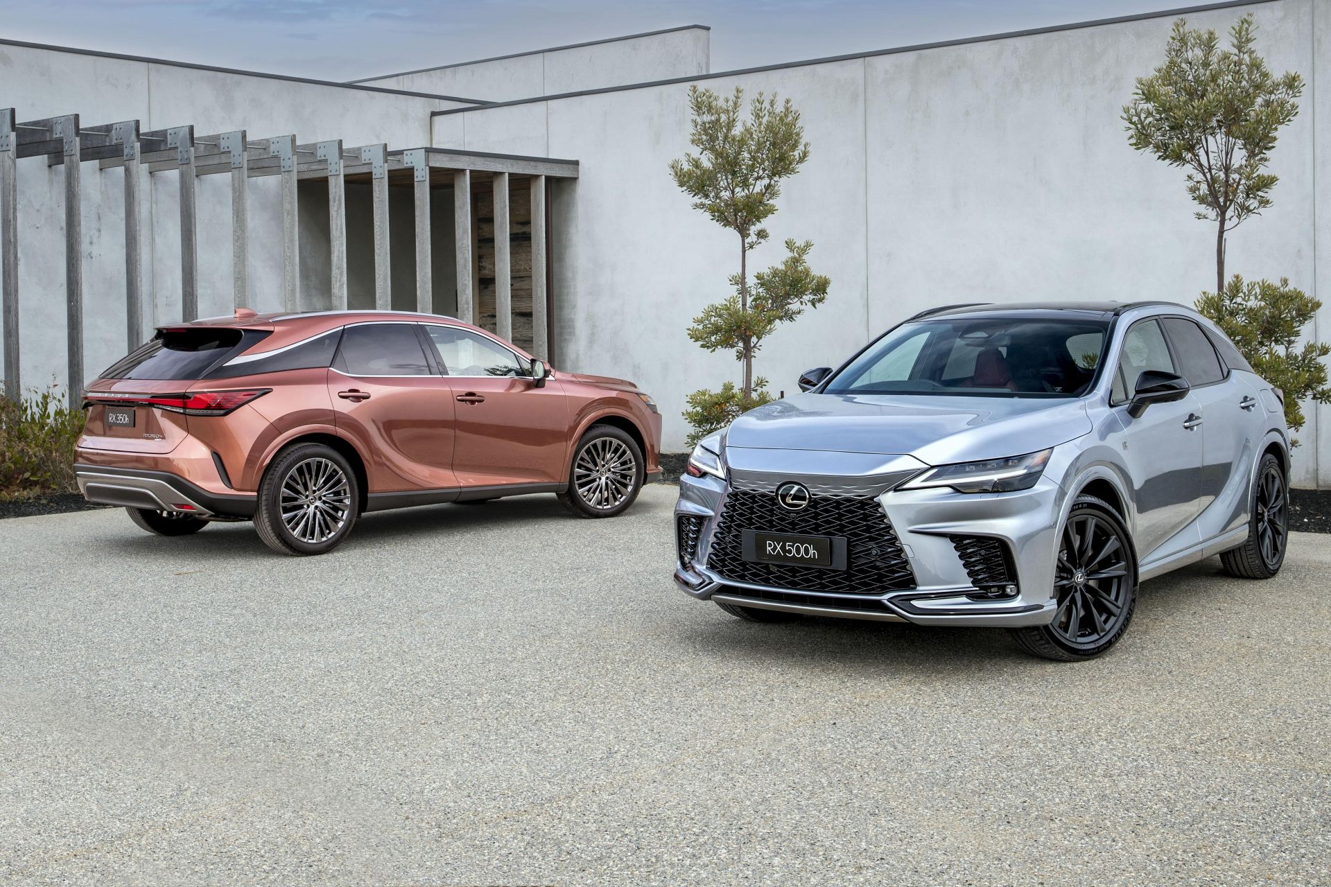 2023 Lexus RX price and specs | CarExpert