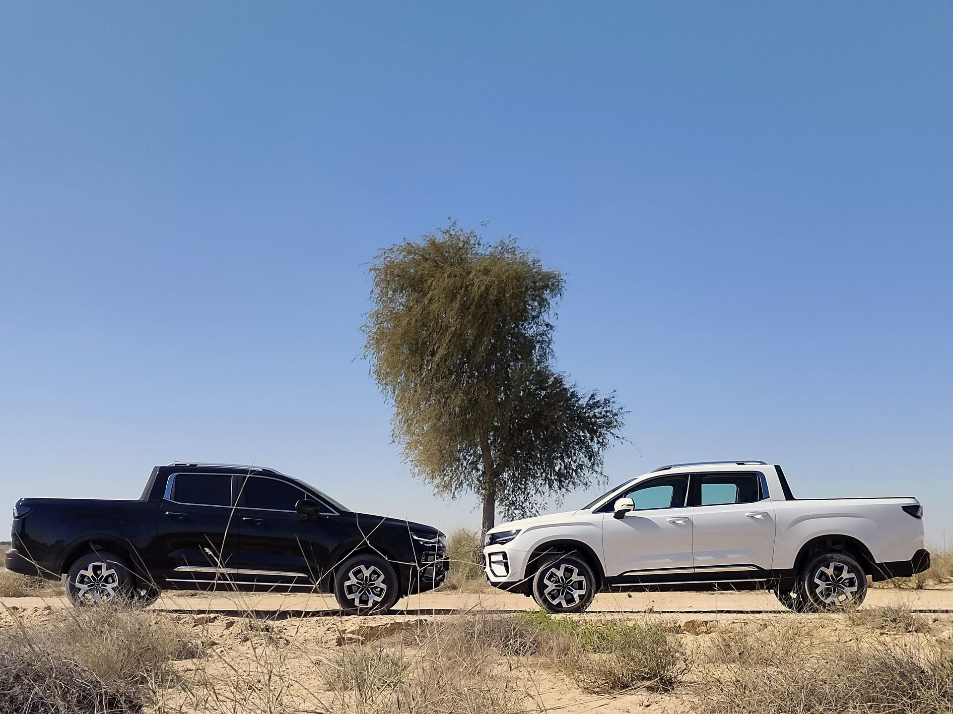 2025 Riddara RD6 review | CarExpert