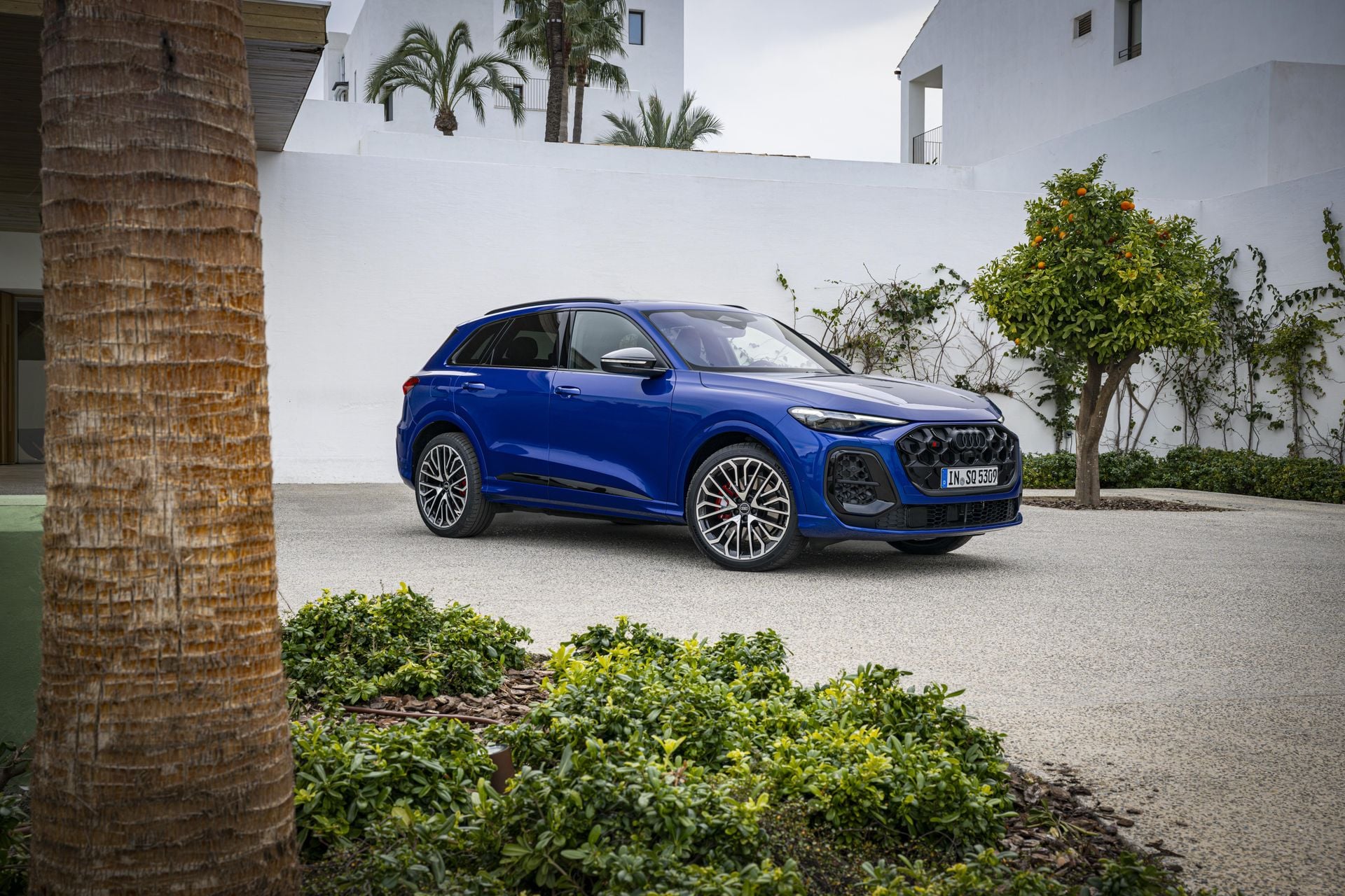 2026 Audi SQ5 review | CarExpert