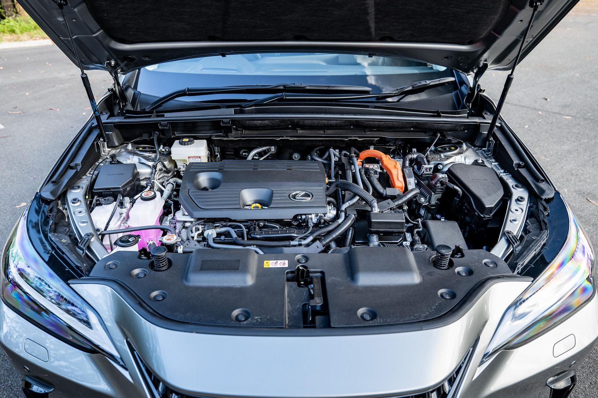 2025 Lexus NX350h Sports Luxury AWD review | CarExpert