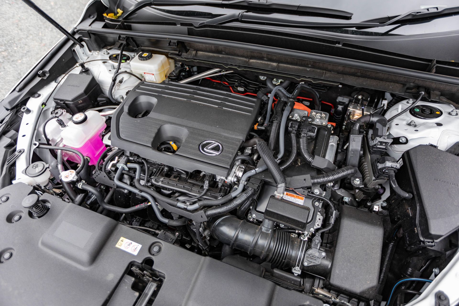2025 Lexus NX350h Sports Luxury FWD review | CarExpert