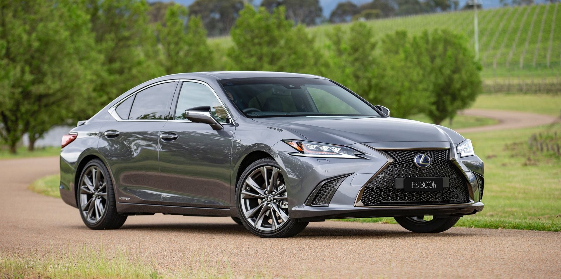 2020 Lexus ES price and specs | CarExpert