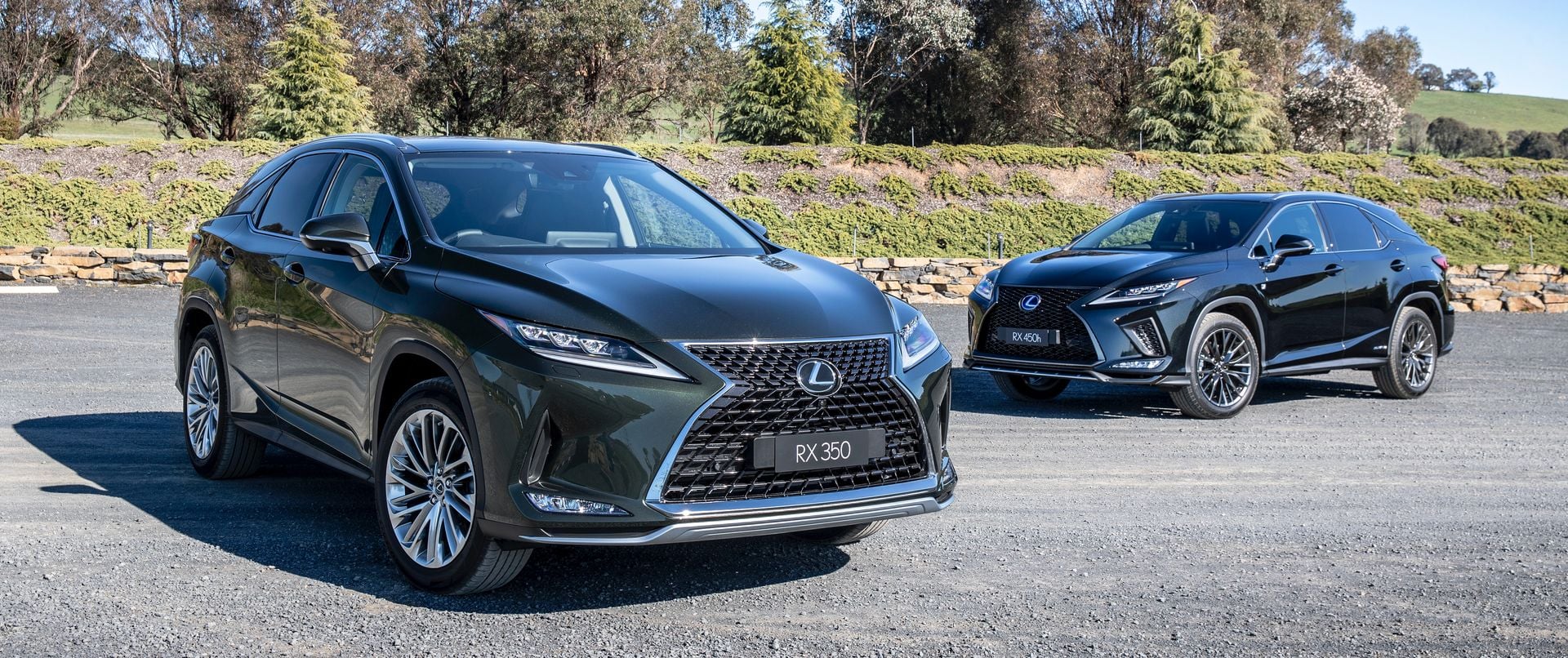2020 Lexus RX price and specs | CarExpert