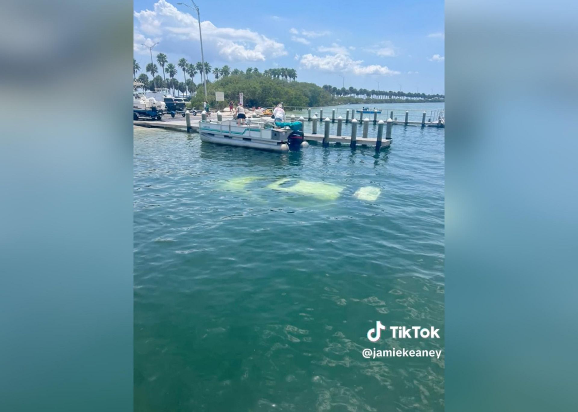 Honda de sea: CR-V sinks in boat ramp mishap | CarExpert