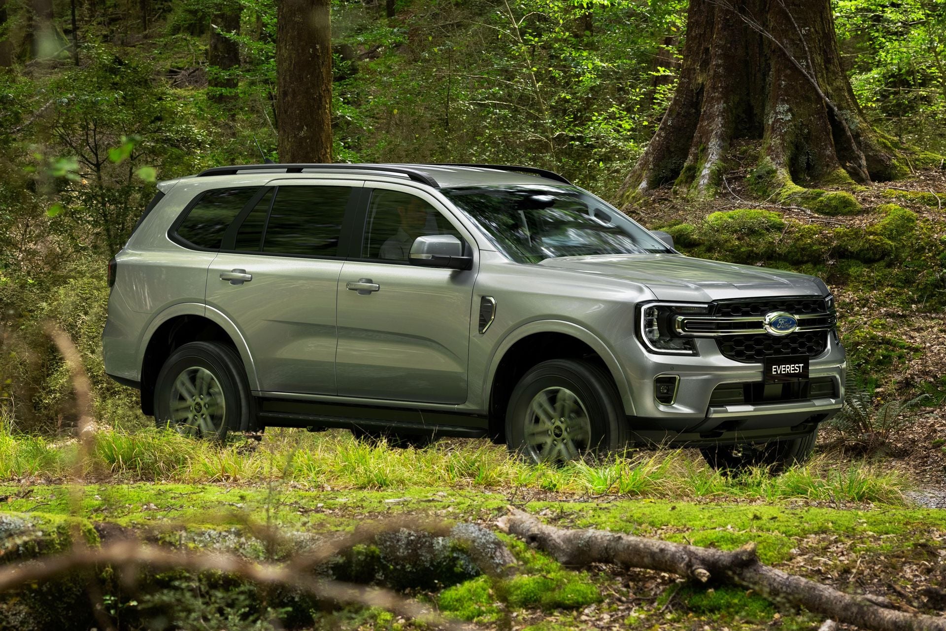 2024 Ford Everest price and specs | CarExpert