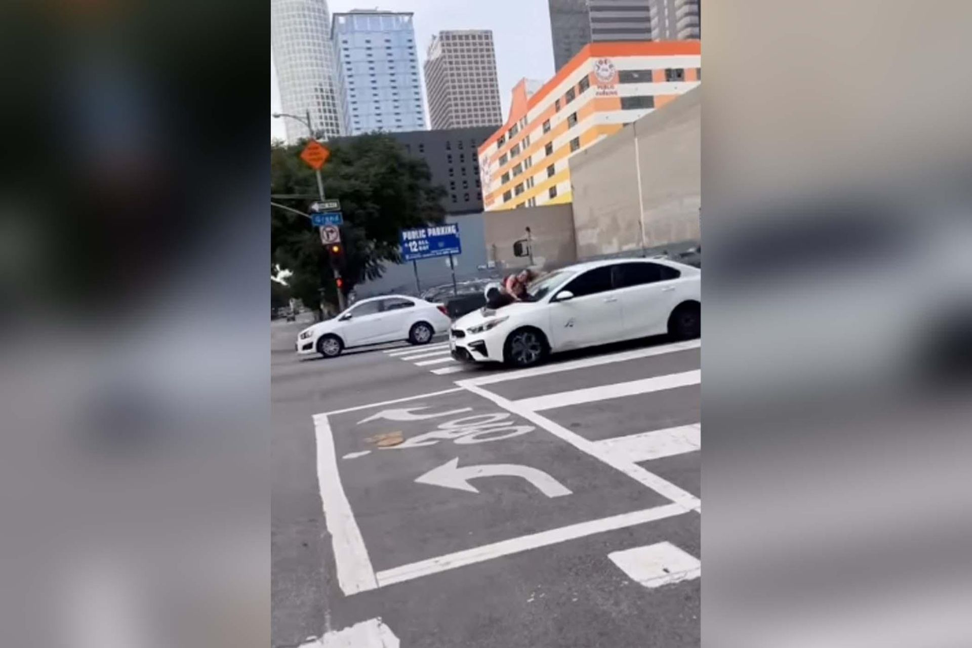 Los Angeles woman leaps onto a moving car to save her stolen dog ...