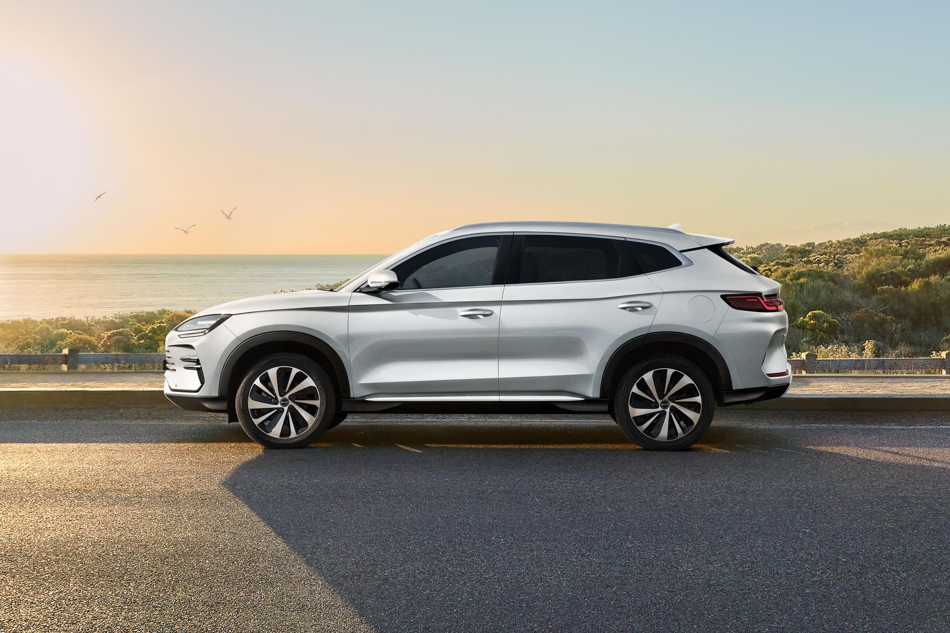 Why BYD distributor thinks its new PHEV is better than RAV4, Outlander ...