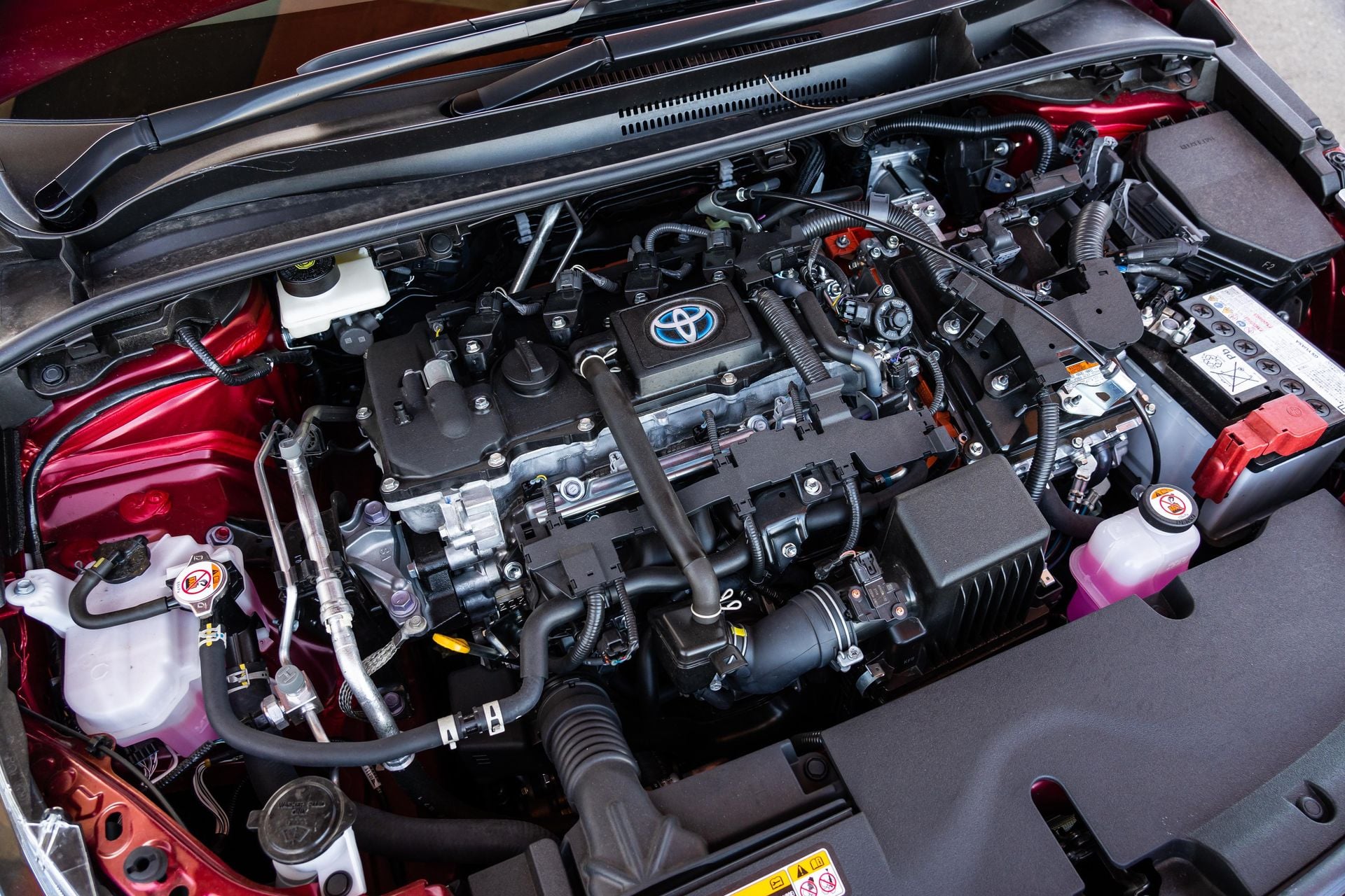 2025 Toyota Corolla price and specs | CarExpert