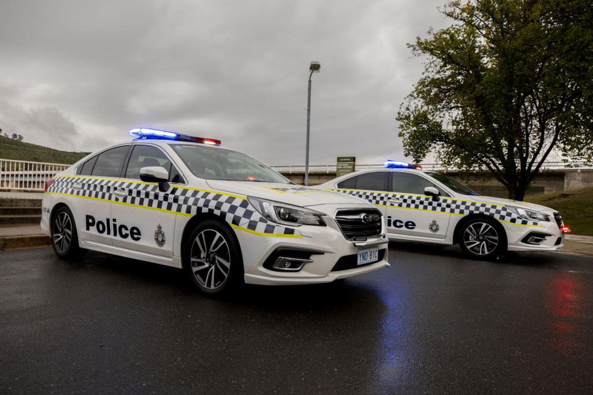 ‘Lock your doors and windows’ police warn after nearly 200 cars stolen ...