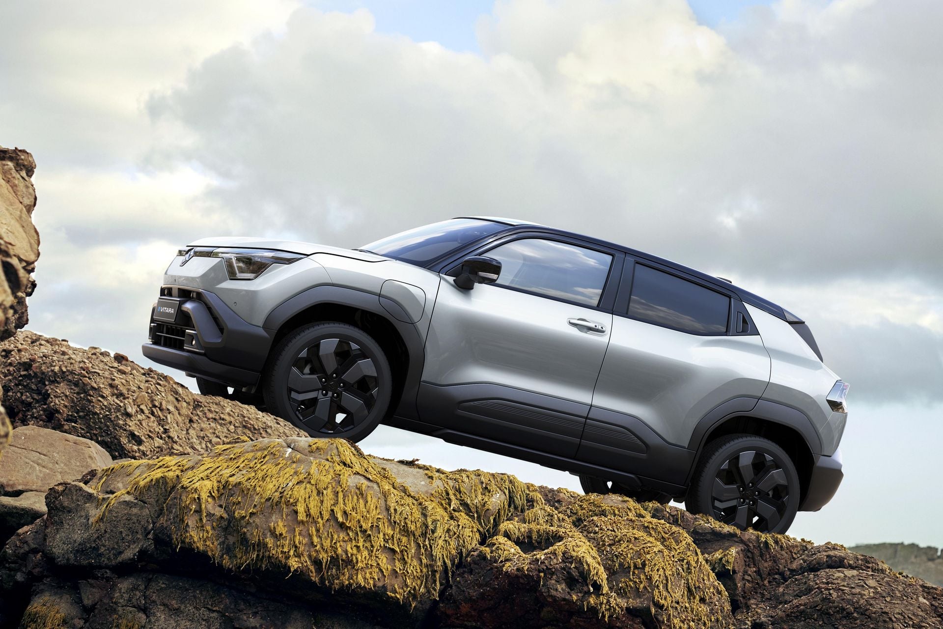 Australia isn’t ready for EVs, says Suzuki distributor boss | CarExpert