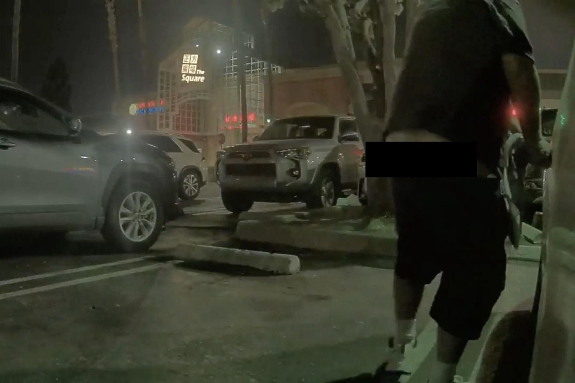 Teslas targeted in keying attacks, offenders caught on camera | CarExpert