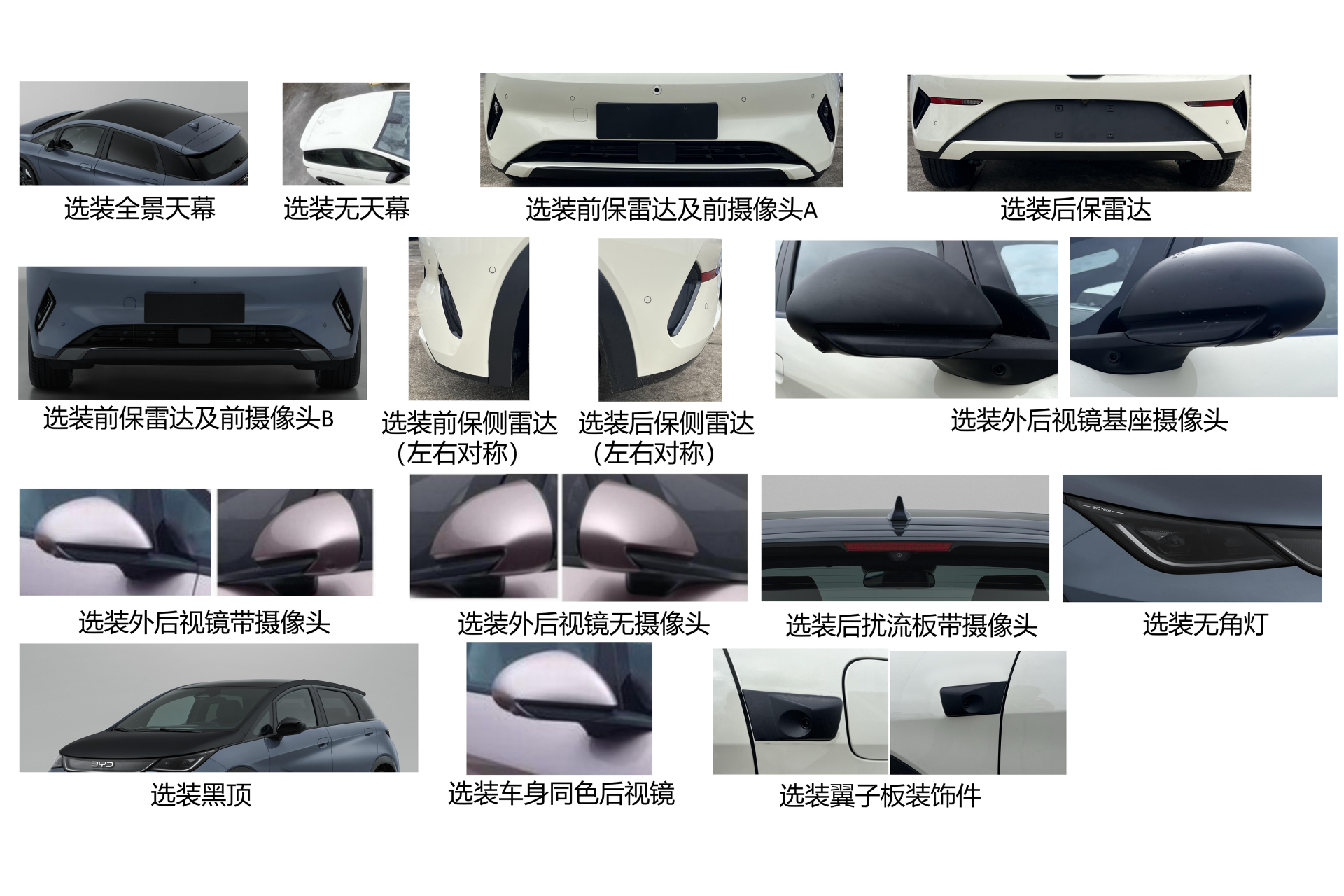 2026 BYD Dolphin EV gets fresh look, new powertrain | CarExpert