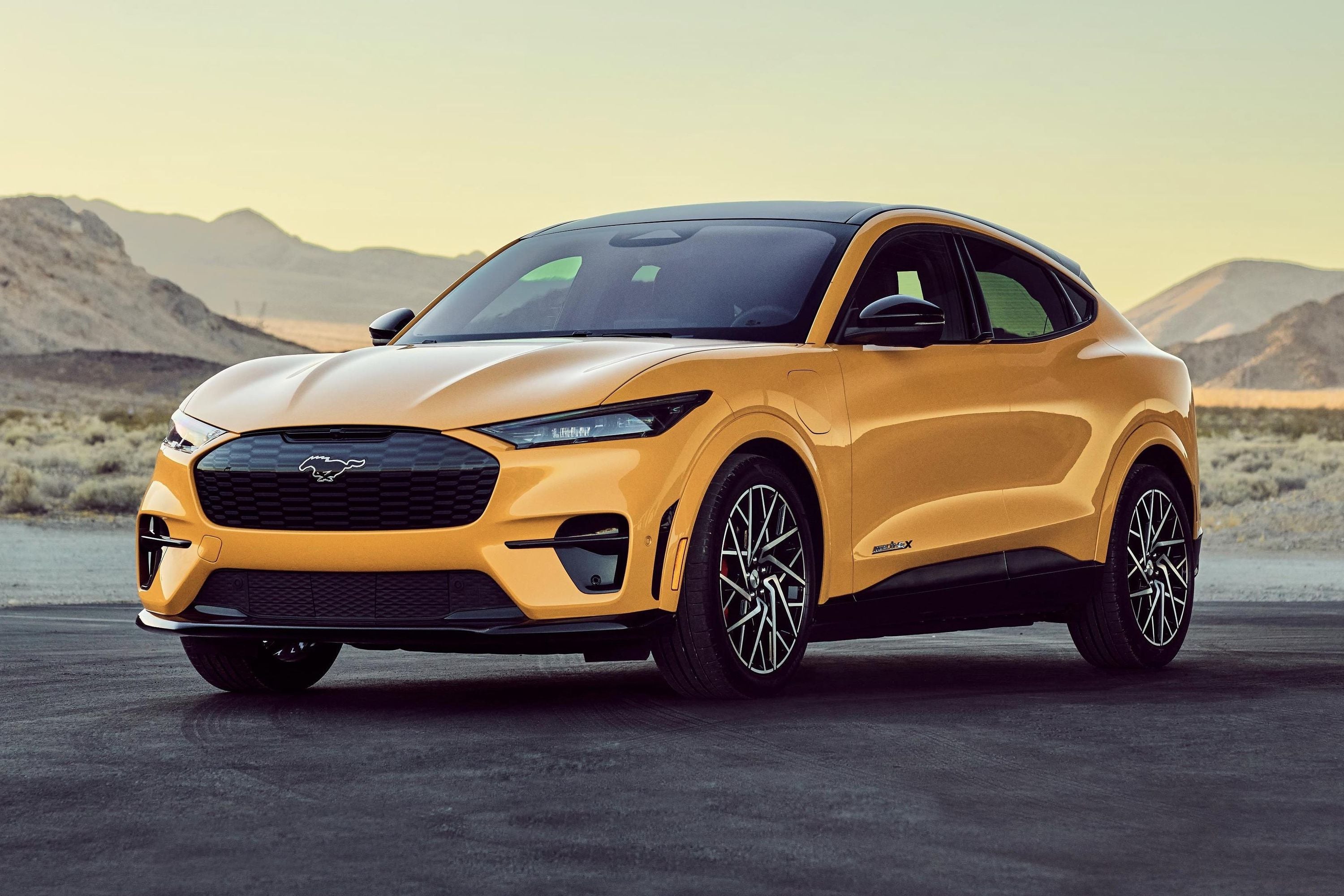 2025 Mustang Mach E Halley Daphene 2025 Mustang Mach E Halley Daphene