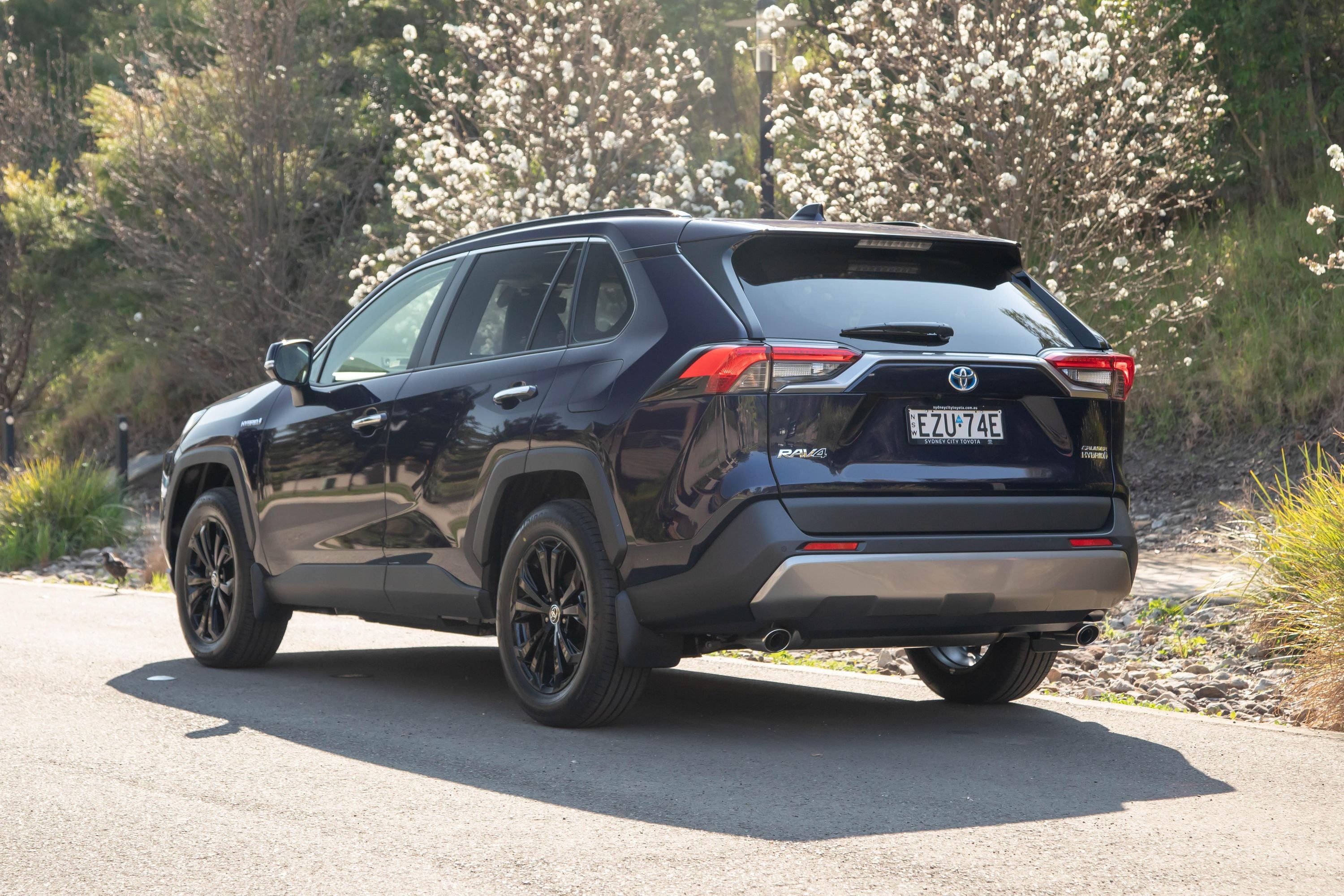 Toyota Rav4 Hybrid Cruiser Review Australia
